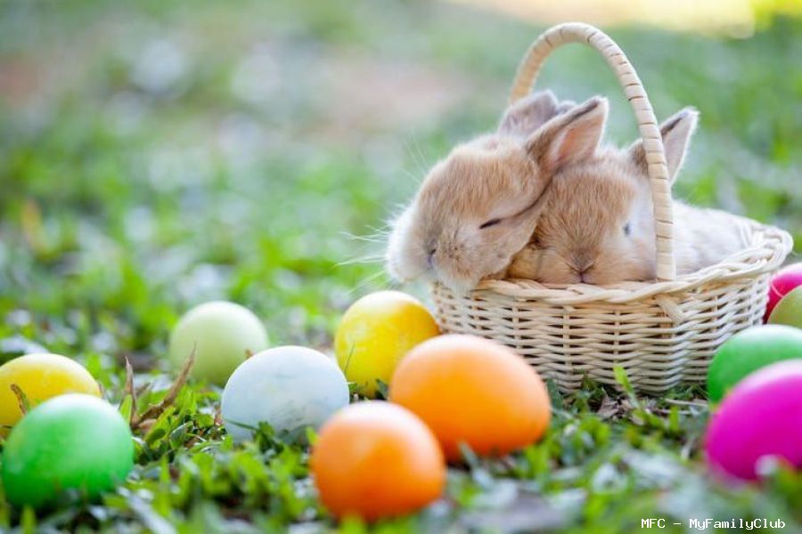 Family Fun Day - Easter Picnic